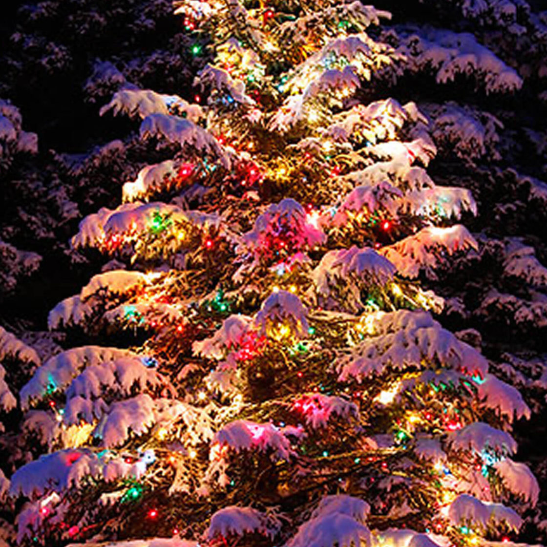 Affordable Permanent LED Holiday Lights - Commercial and Residential ...